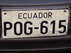 The Best Of Latin America - Flags & License Plates